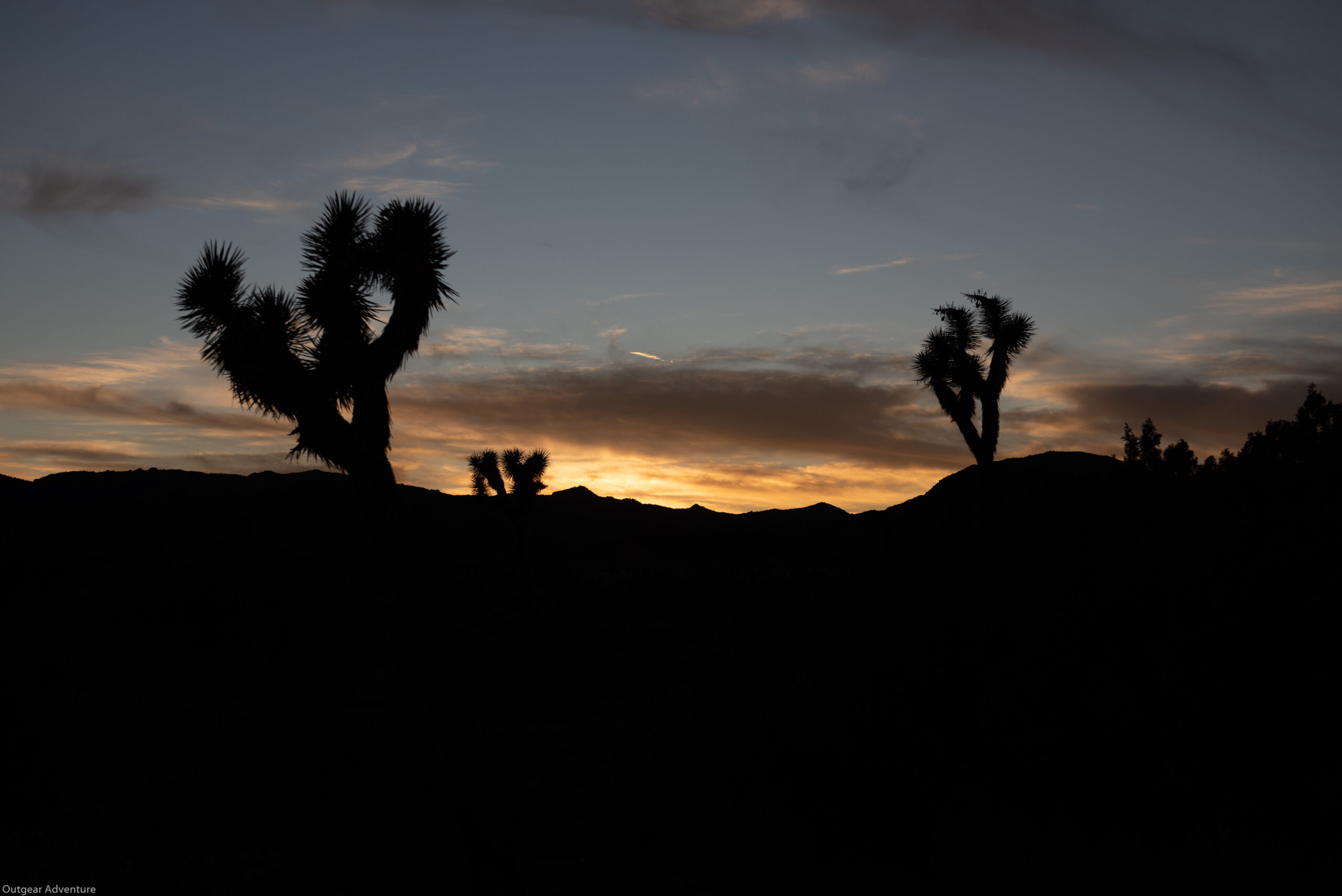 Tent Camping Test in Joshua Tree National Park - Outgear Adventure